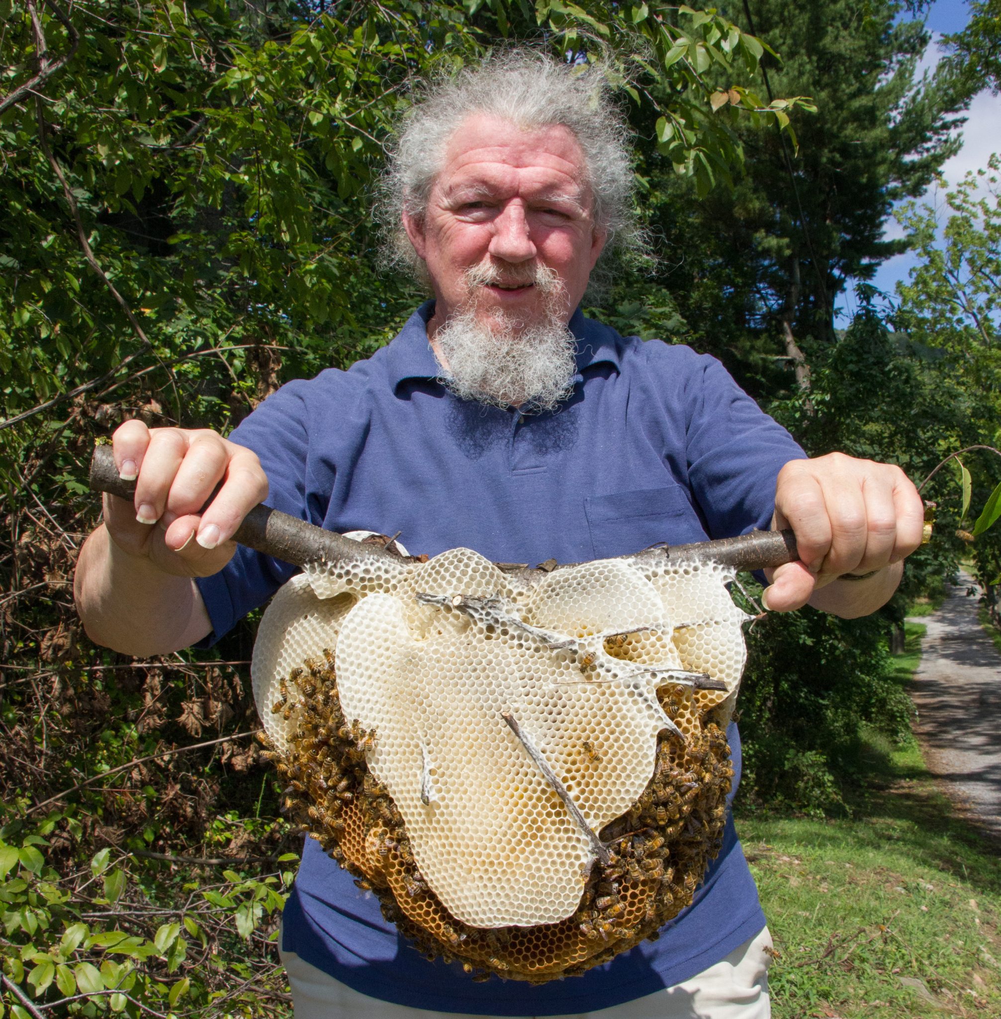 CMBA Board of Trustees | Central Maryland Beekeepers Association